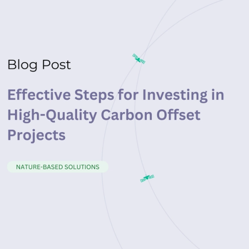 Effective Strategies for Investing in High-Quality Carbon Offset ...
