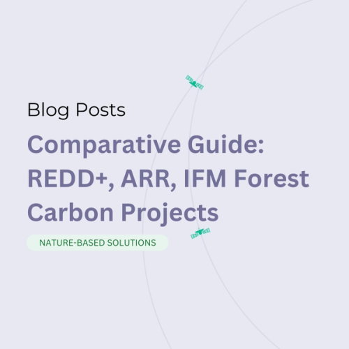 Comperative Guide: Impact of REDD+, ARR, & IFM Carbon Projects | Orbify