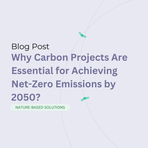 Carbon Offset Projects and Net-Zero: Achieving a Sustainable Future ...