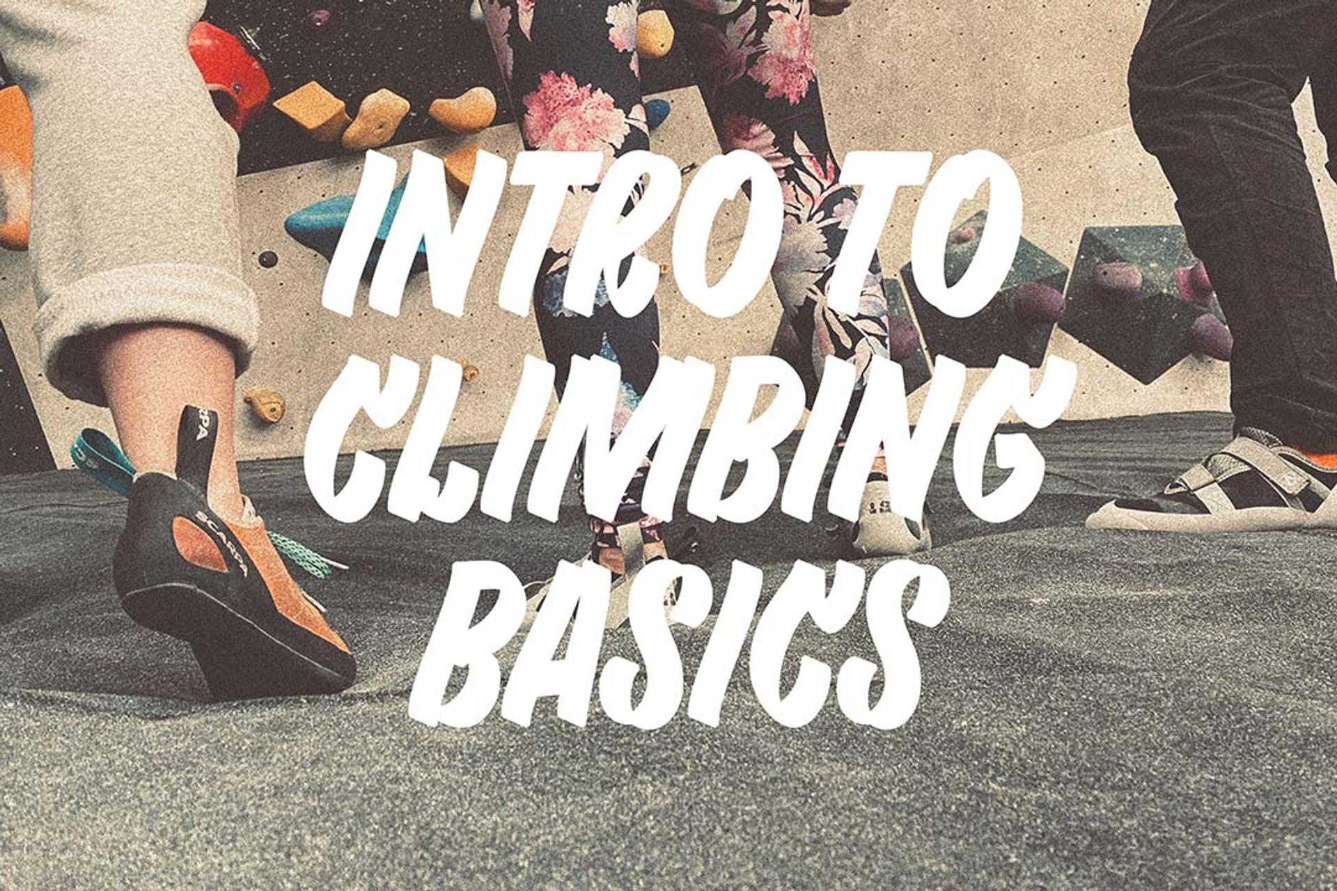 Intro to Climbing Basics