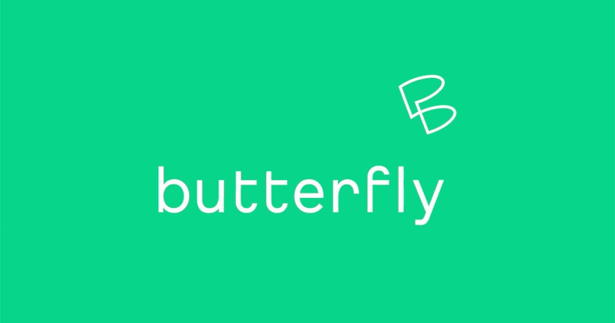 butterfly | foundation