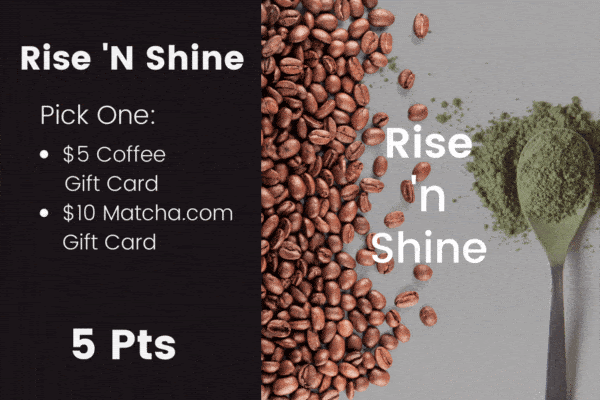 Nonpartisan, trustworthy news that's actually enjoyable to read😀