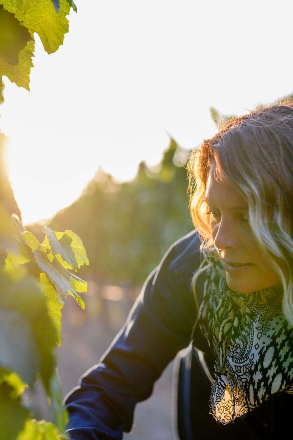 Jayson Woodbridge & The Story Of Summer Dreams Wines