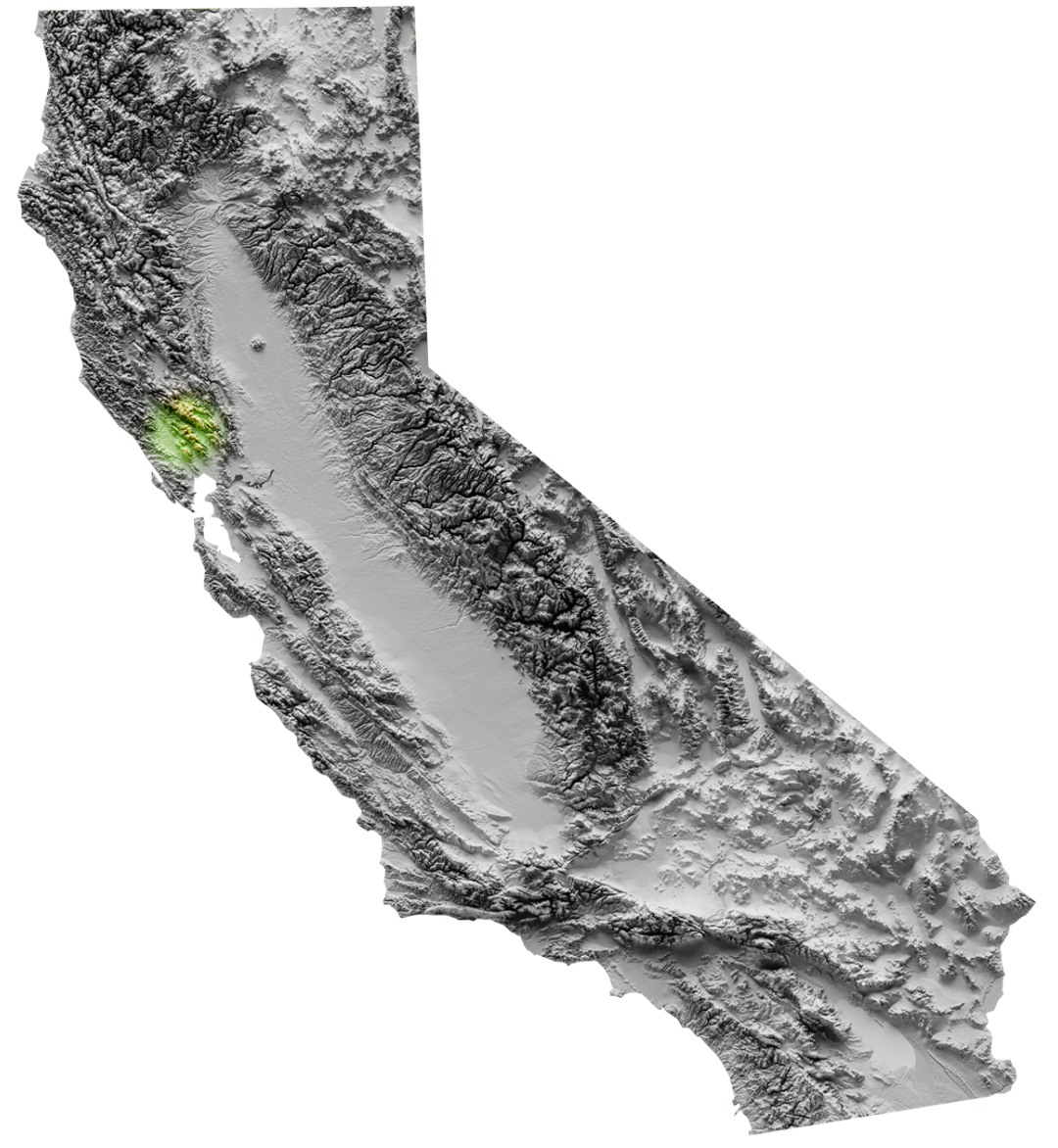 Sonoma Coast AVA - Discover Our Sonoma Coast Vineyards