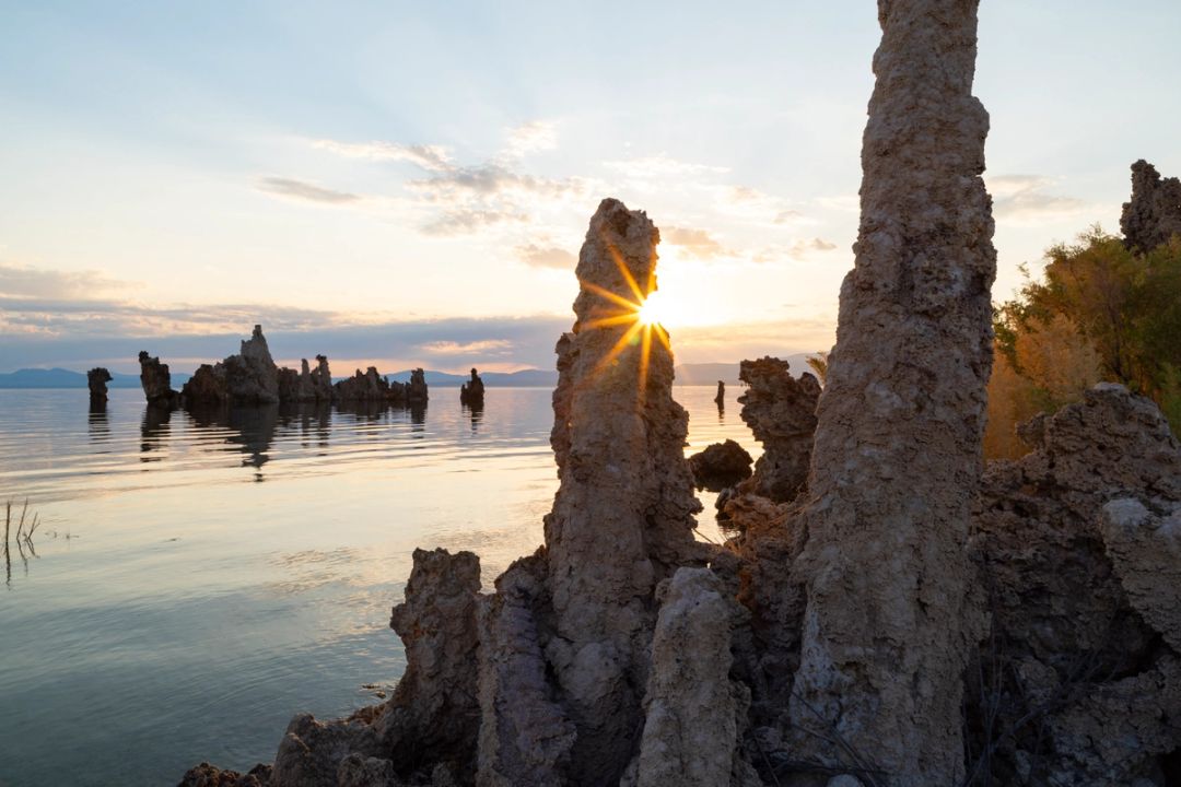 Halley's Comet - Pinot Noir - Summer Dreams Wines