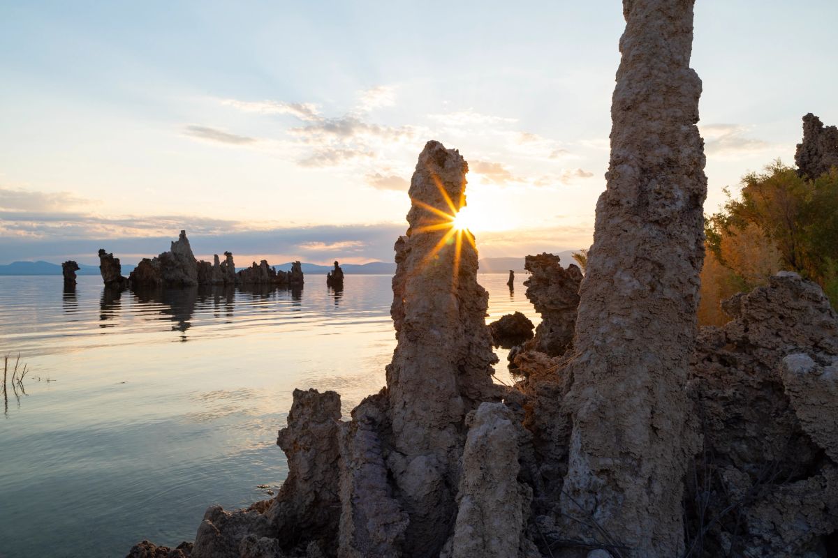 Halley's Comet - Pinot Noir - Summer Dreams Wines