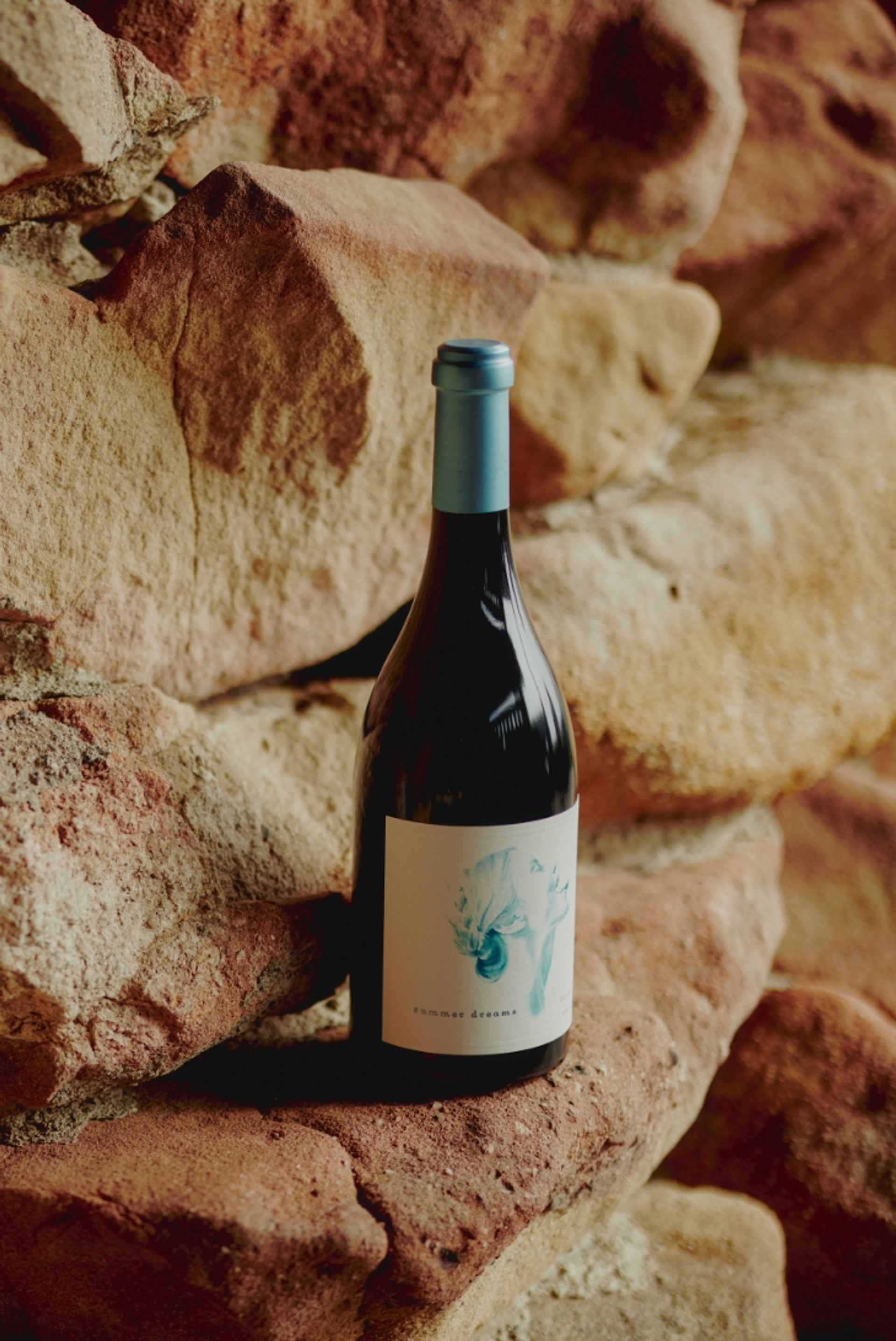 Sonoma Coast Chardonnay - The Sun Also Rises - Summer Dreams Wines