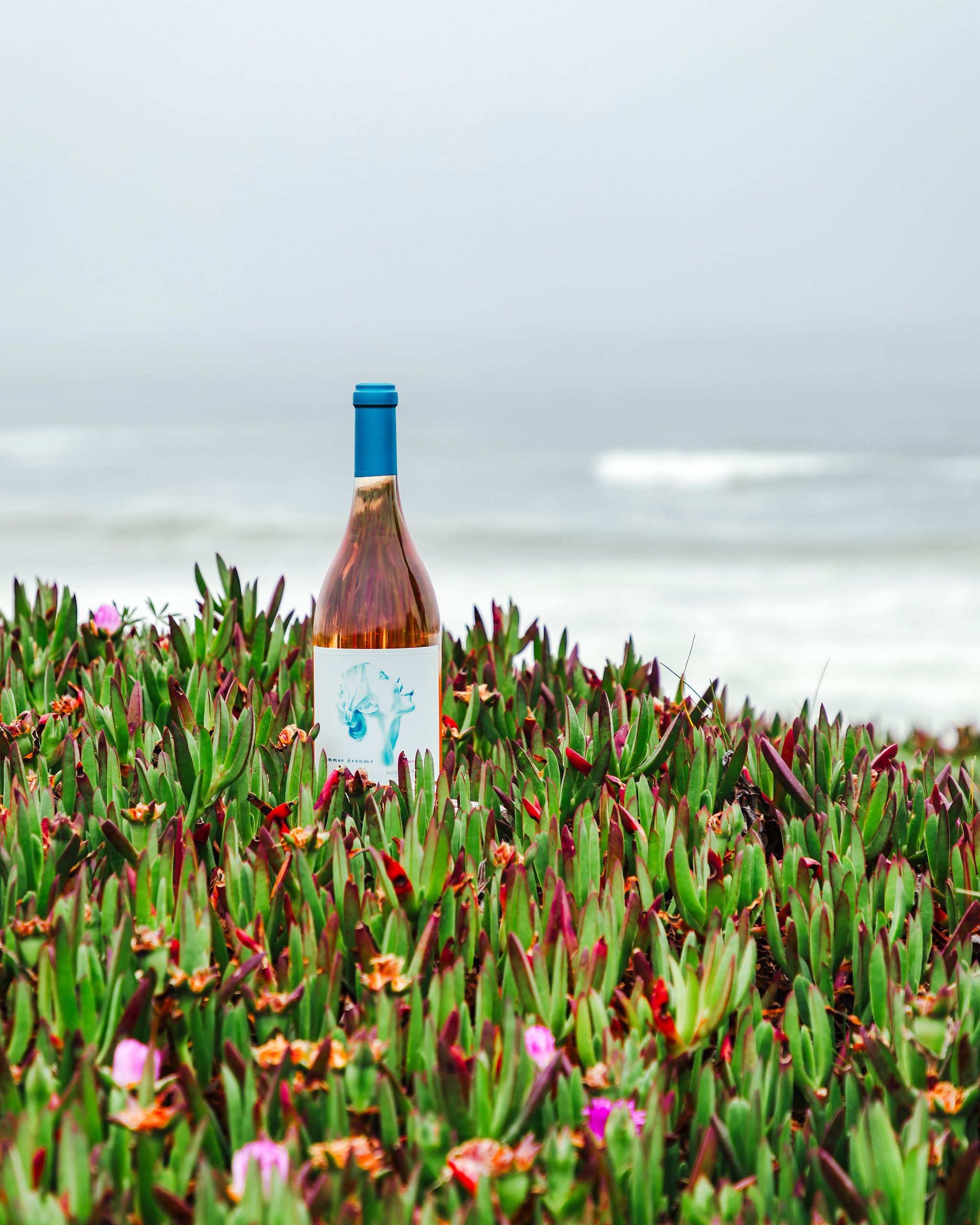 Rosé Of Pinot Noir - Martian Pink - Summer Dreams Wines