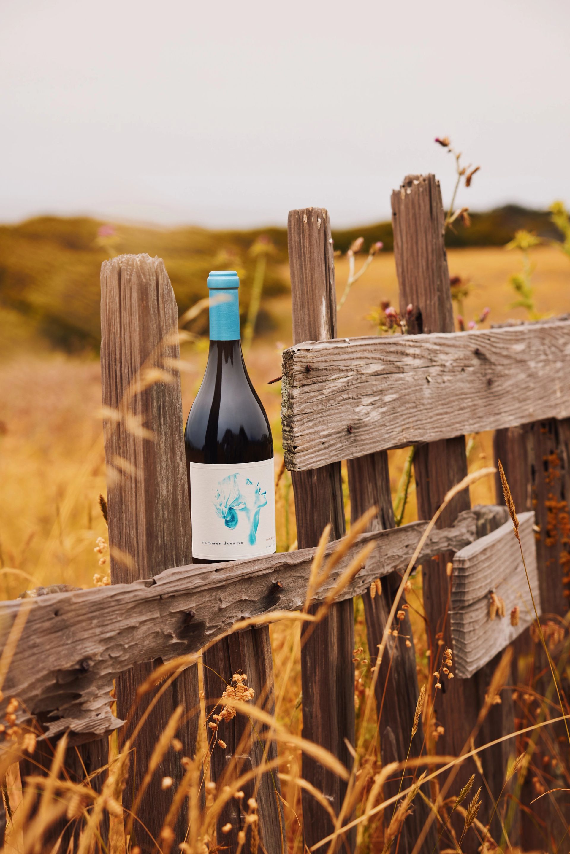 Golden Hour - Sonoma Coast Pinot Noir - Summer Dreams Wines