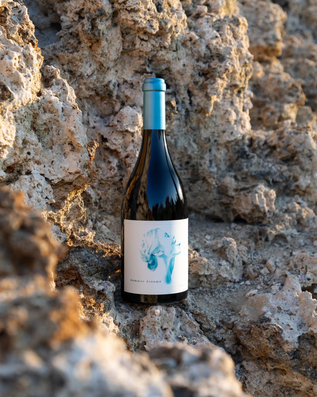 Halley's Comet - Pinot Noir - Summer Dreams Wines