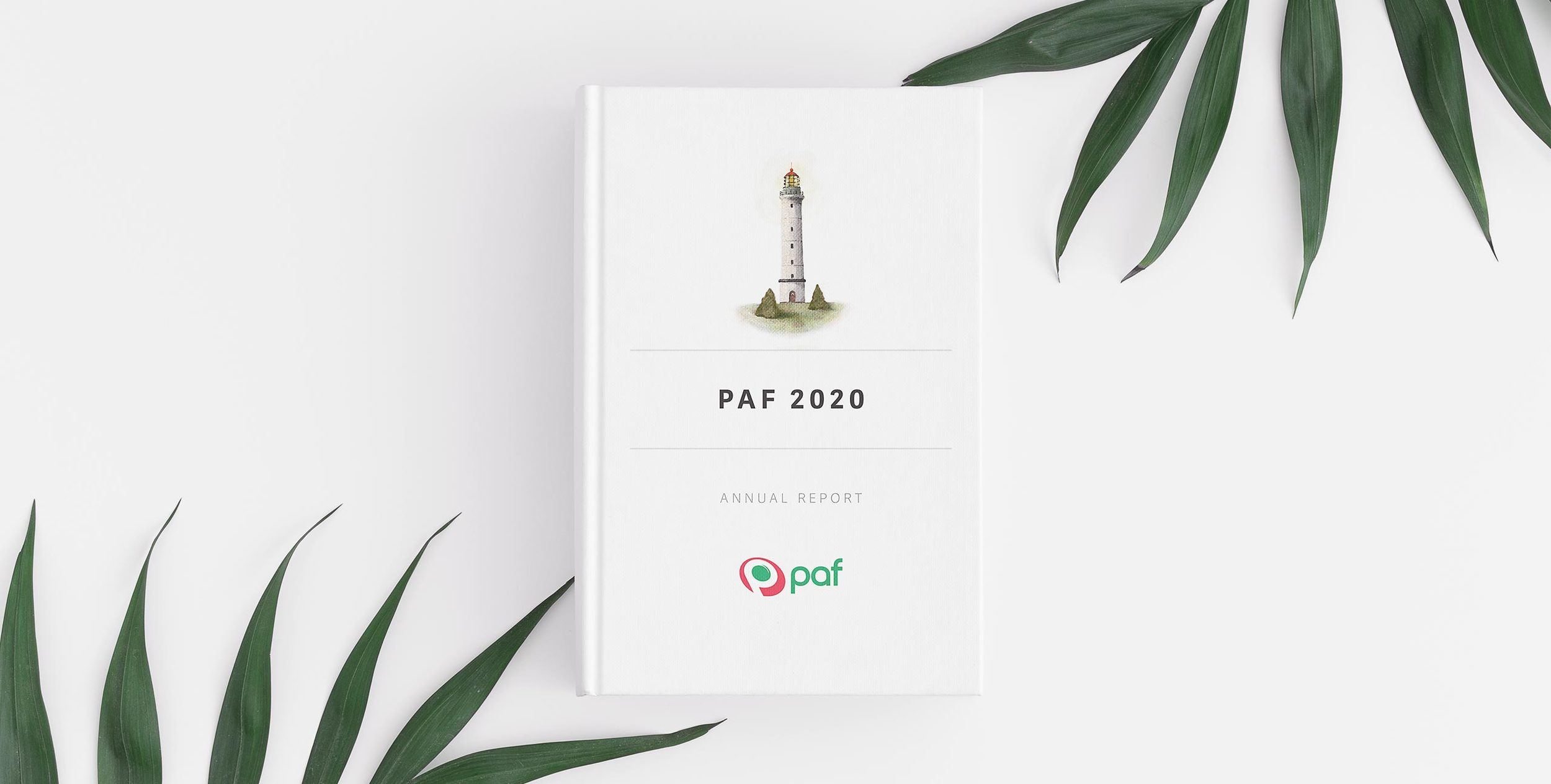 Paf's results, open customer segments and lowered loss limit