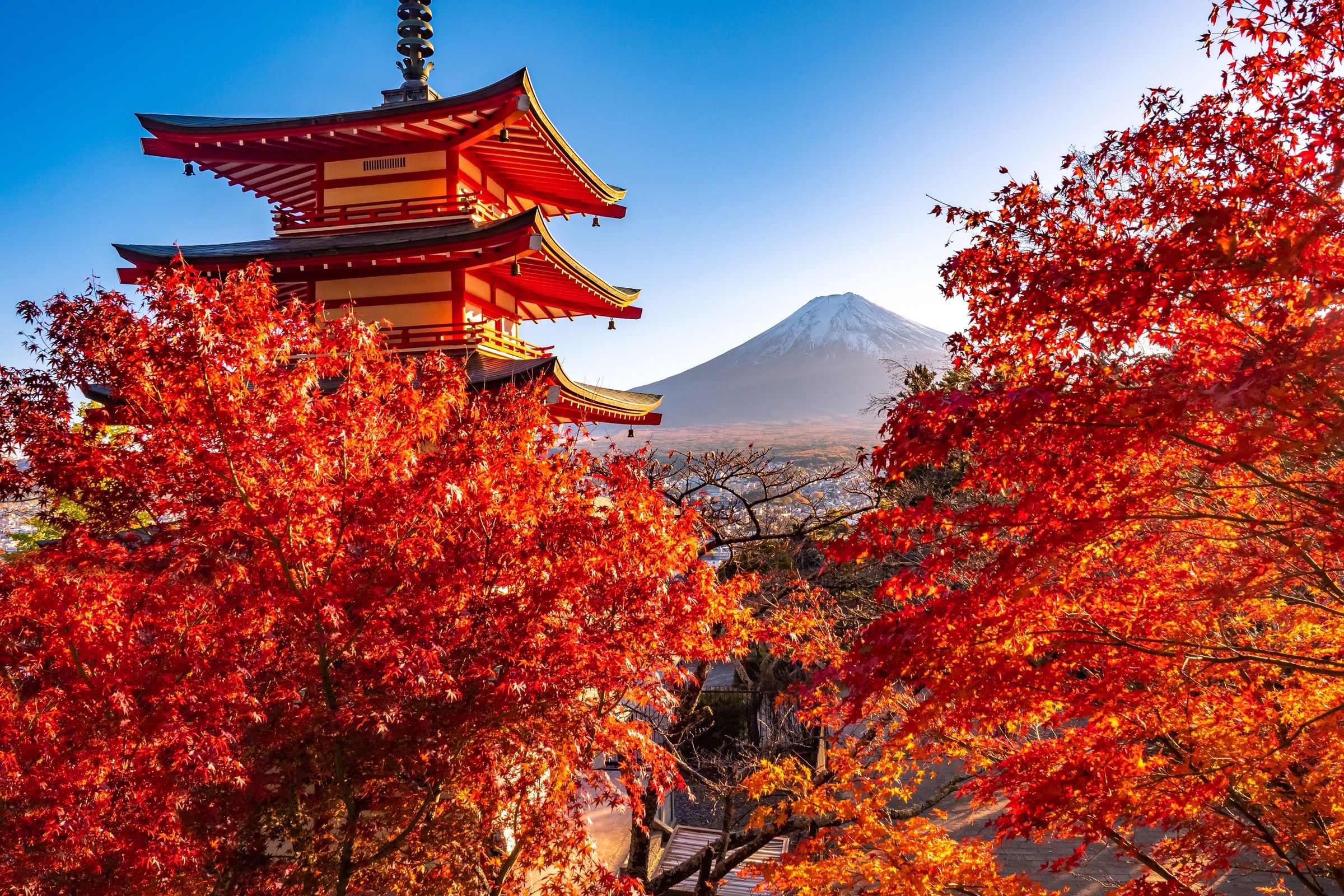 Tour in Autunno in Giappone di 10 giorni | Tramundi