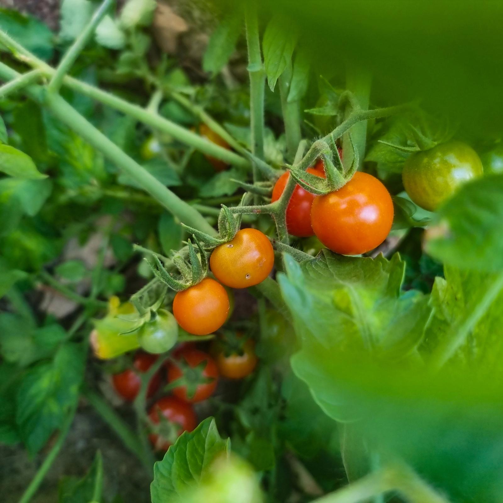 thriveHUB Durbanville