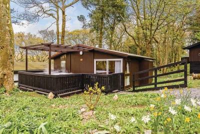 Forest Lodges, Woodland Holidays & UK Cabins in the Woods