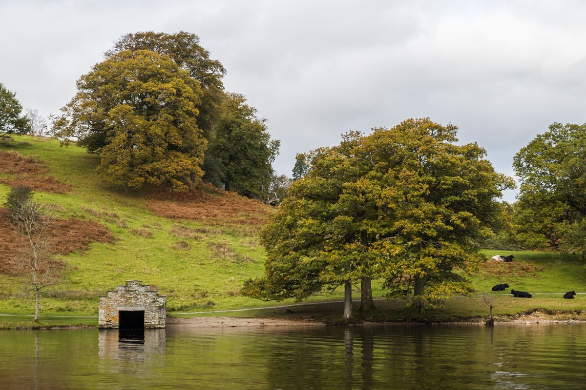8 of the Best Windermere Walks To Enjoy Around Lake Windermere
