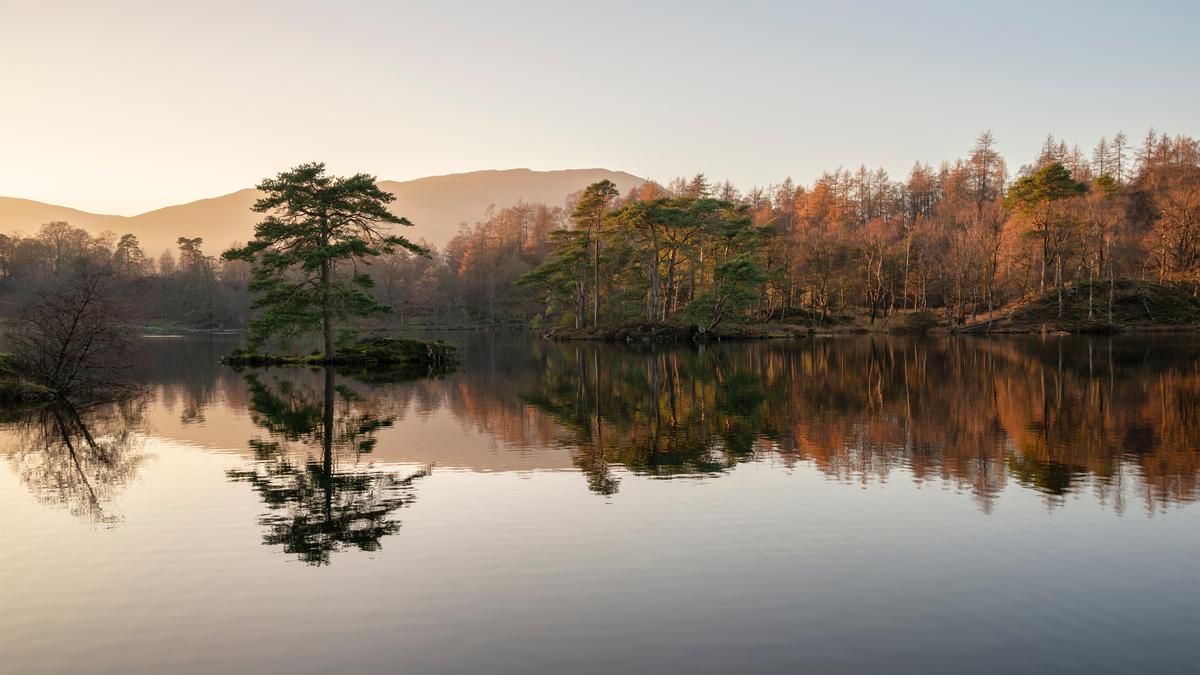 8 of the Best Windermere Walks To Enjoy Around Lake Windermere