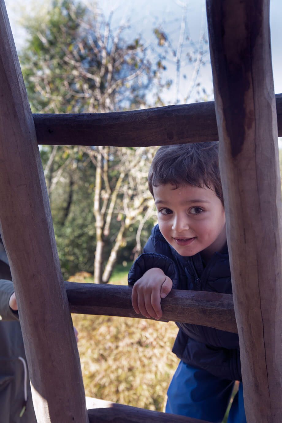 Stepping Stones | The School for Early Childhood Education