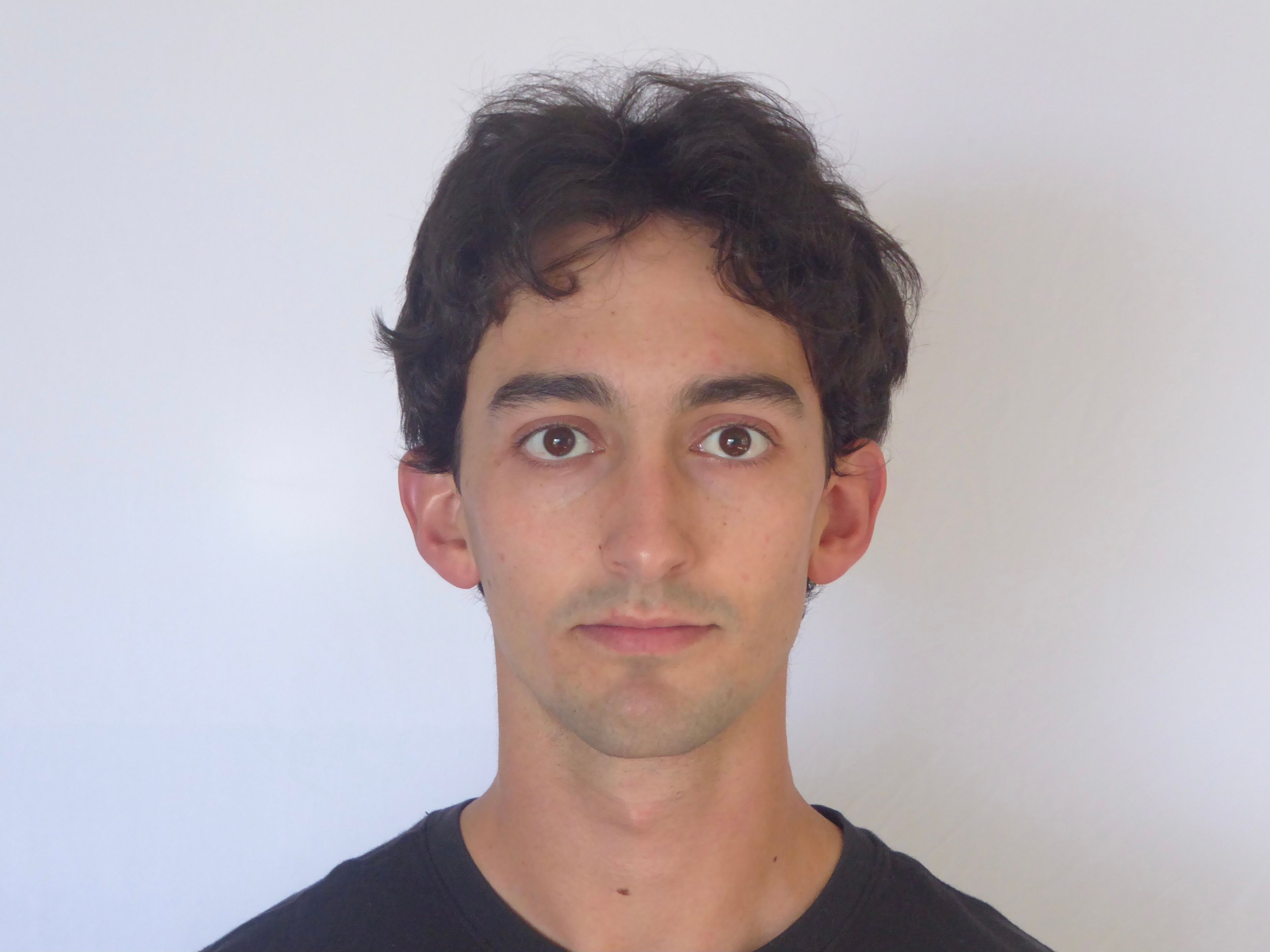 Articles by Matthew Collins - LowTech AI