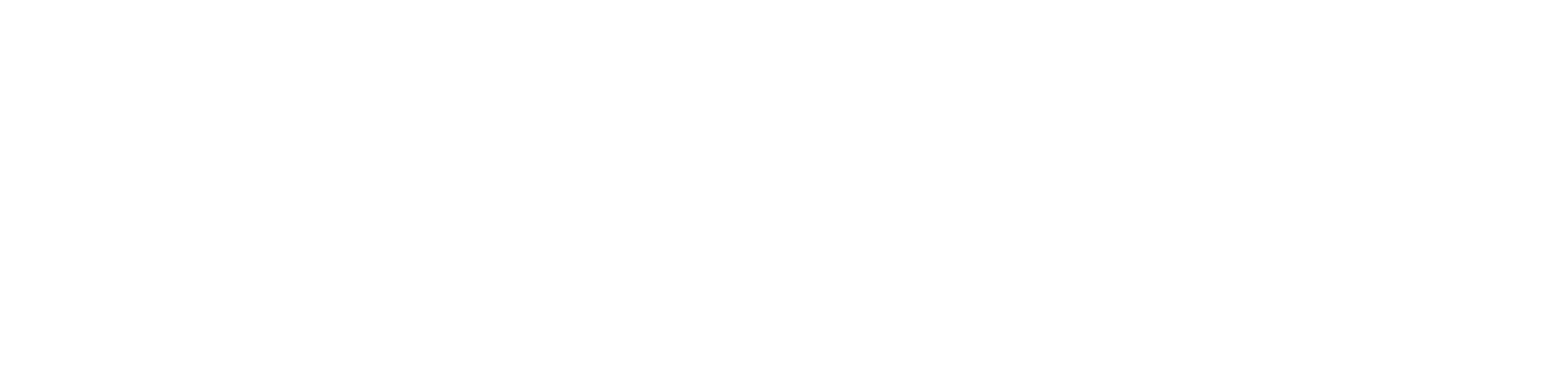 Portfolio - Merus Capital