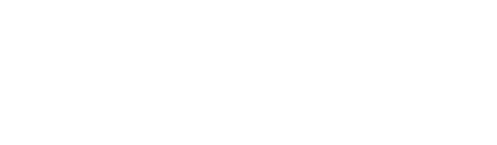 Portfolio - Merus Capital