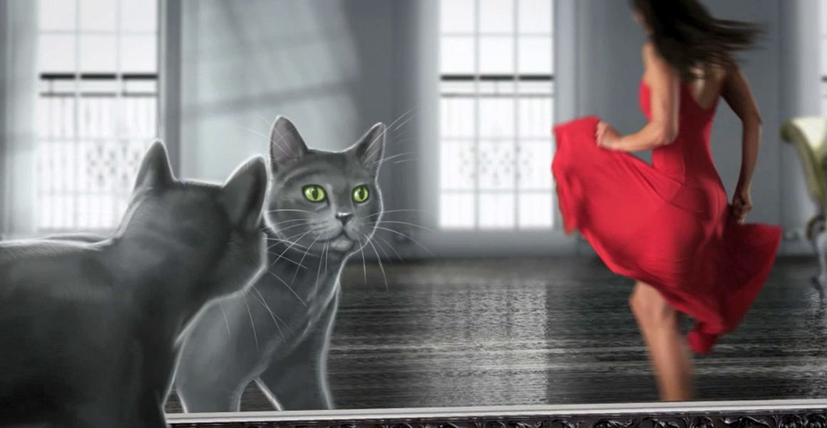 Sheba 'Follow Your Passion' | Think Artfully