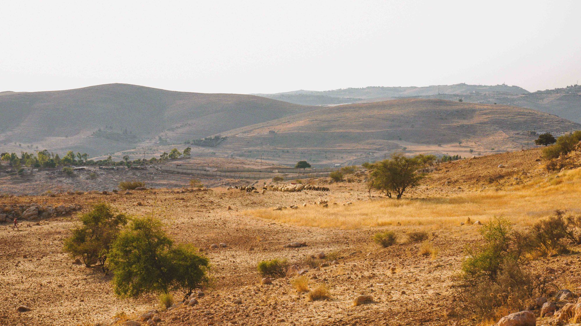 Zabda Project | Laith Matarweh Studio for Architecture