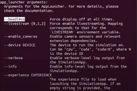 Isaac Lab – Creating an Empty Simulation Scene