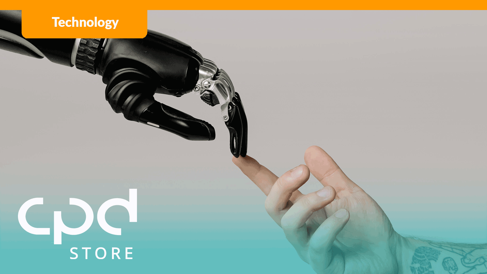 AI: Friend Not Foe