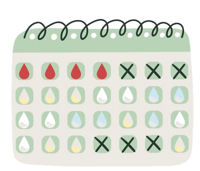 How your Discharge Changes During your Hormonal Cycle | Bloomwell