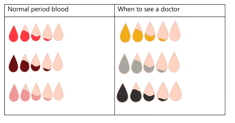 What Does The Colour Of Your Period Blood Mean? | Bloomwell