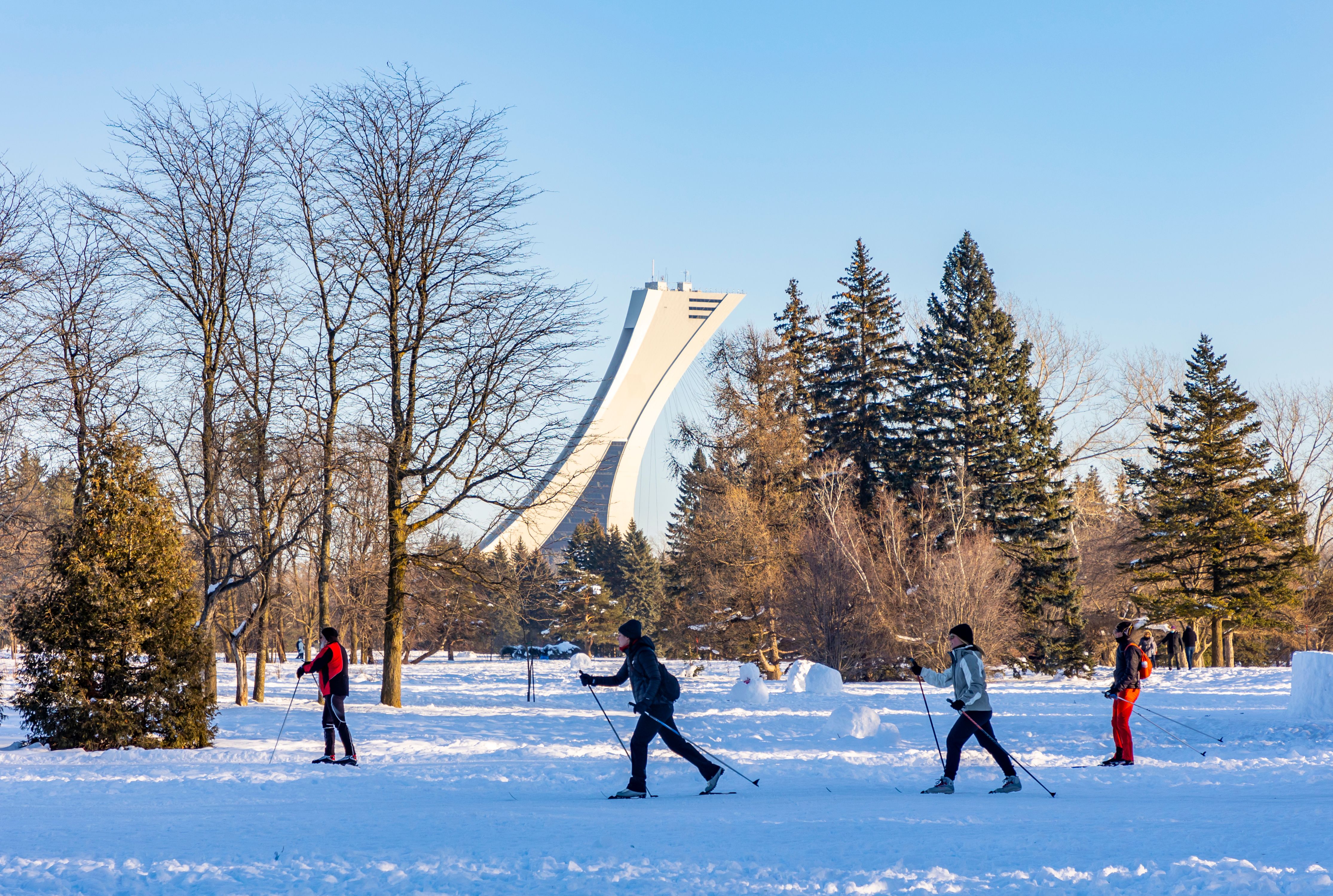 A local guide to the best things to do in Montreal in winter - The Main