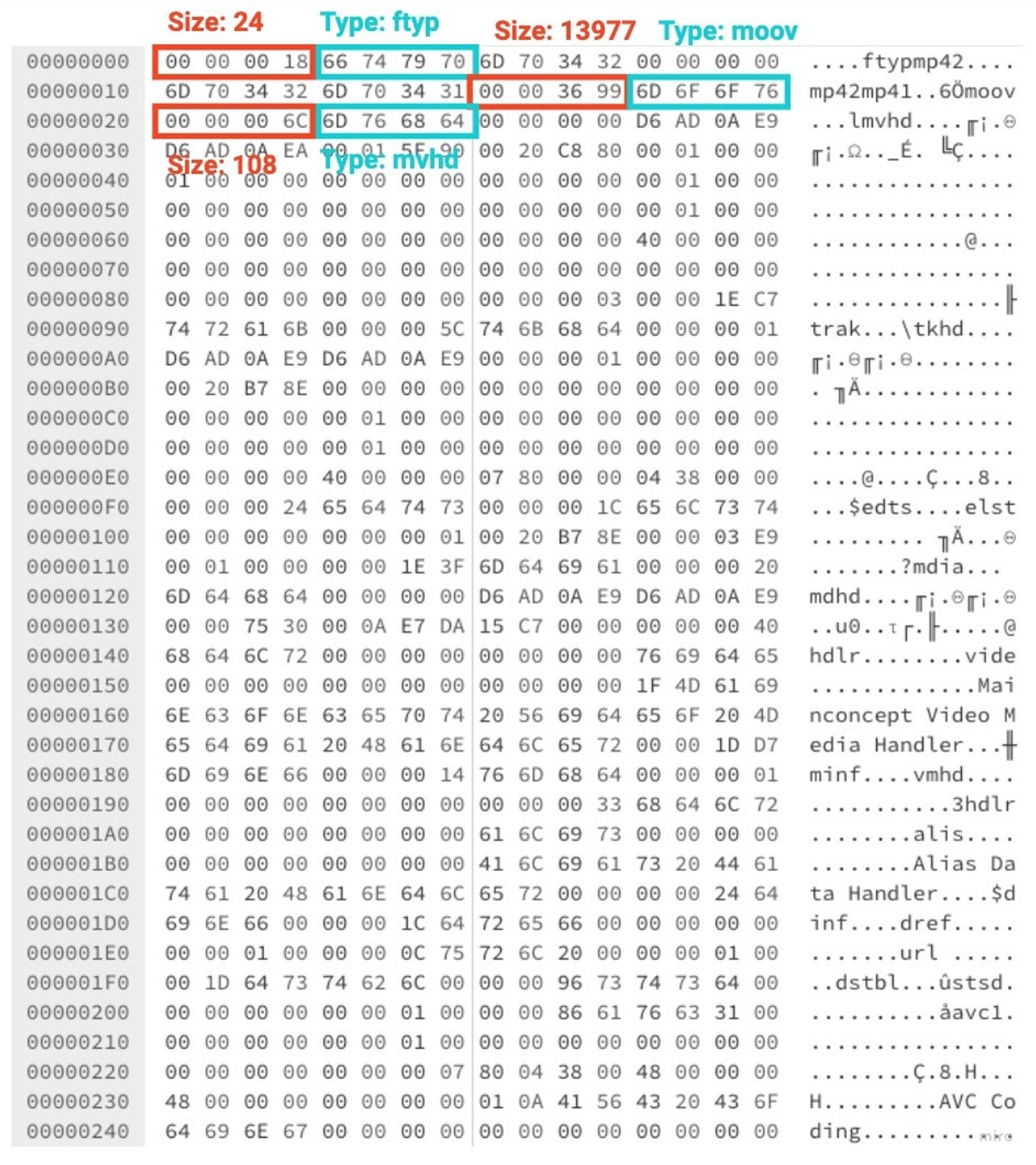 A Beginner's Guide to Video File Formats | Mux blog