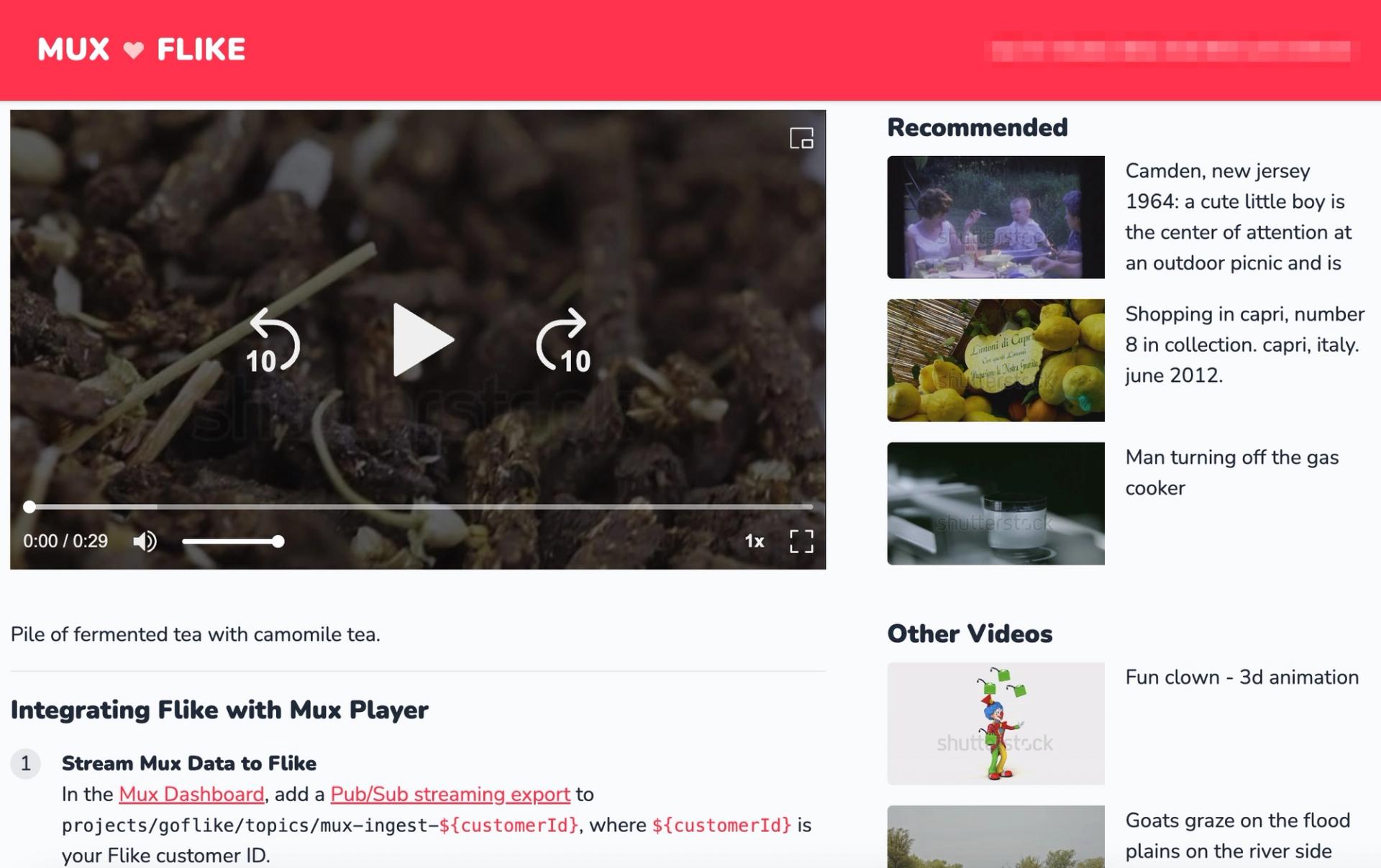 Partnerships anniversary: a look back | Mux