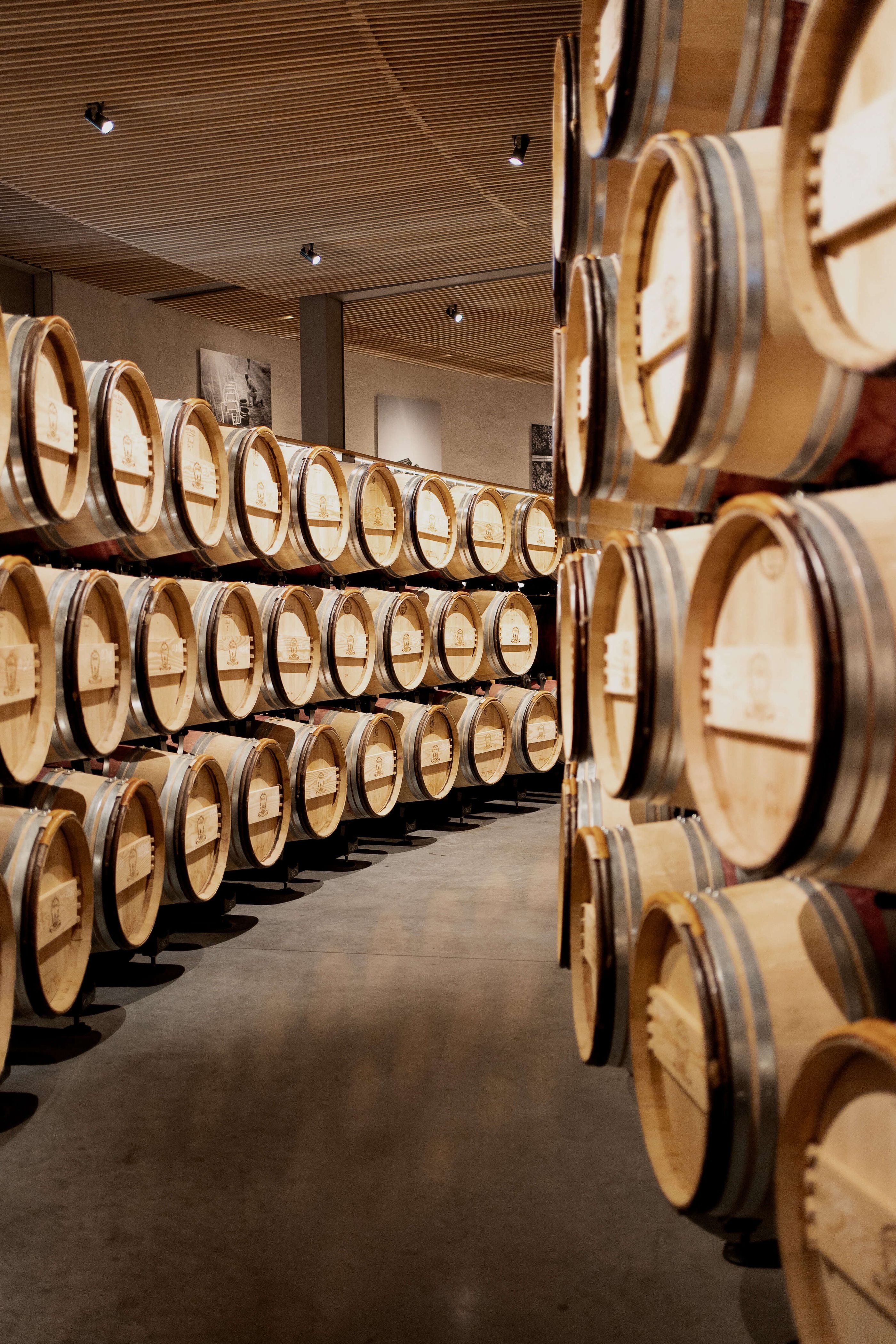 Oxo Wine