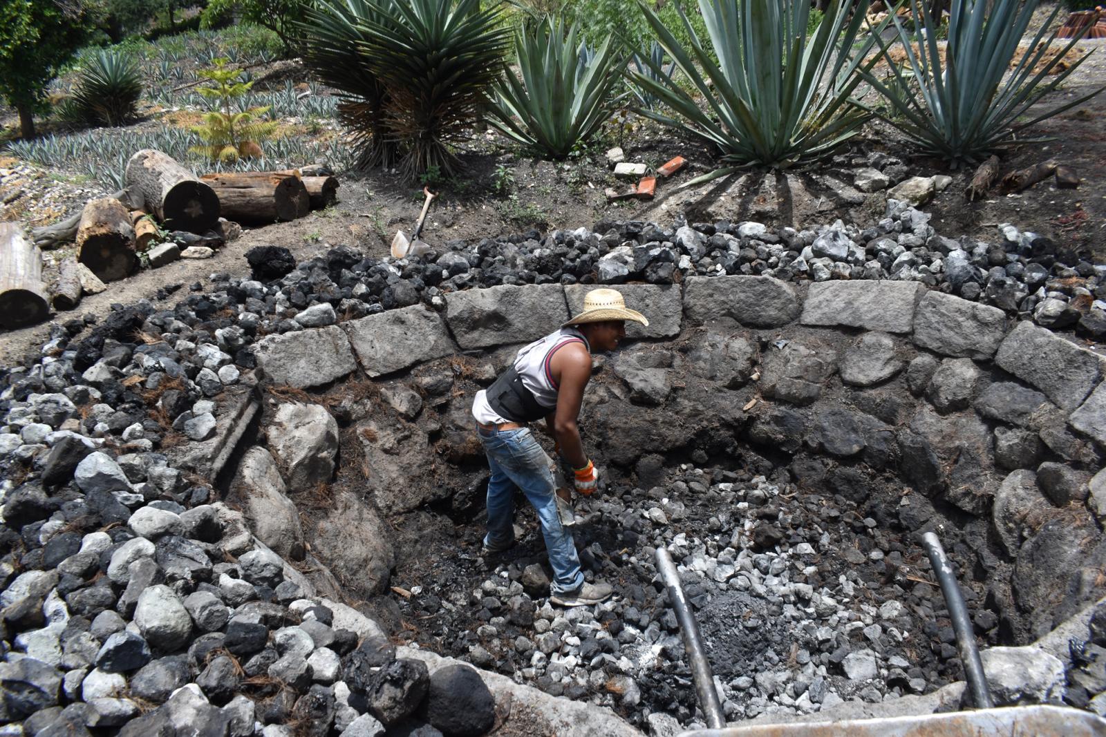 An Introduction to Mezcal | Vera Mexicana