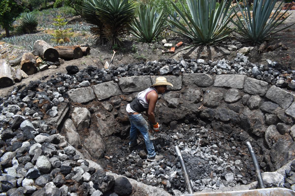 An Introduction to Mezcal | Vera Mexicana
