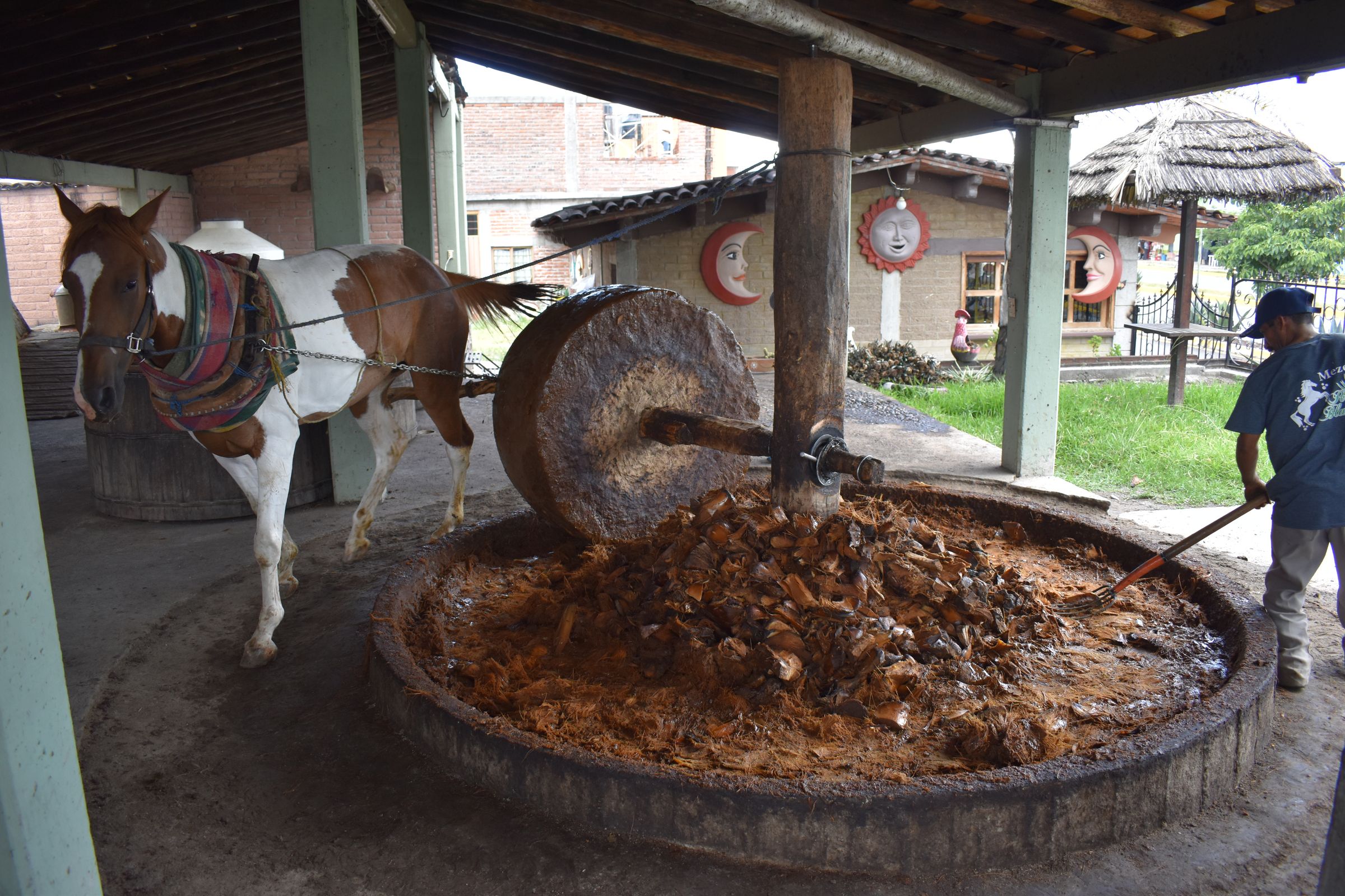 An Introduction to Mezcal | Vera Mexicana