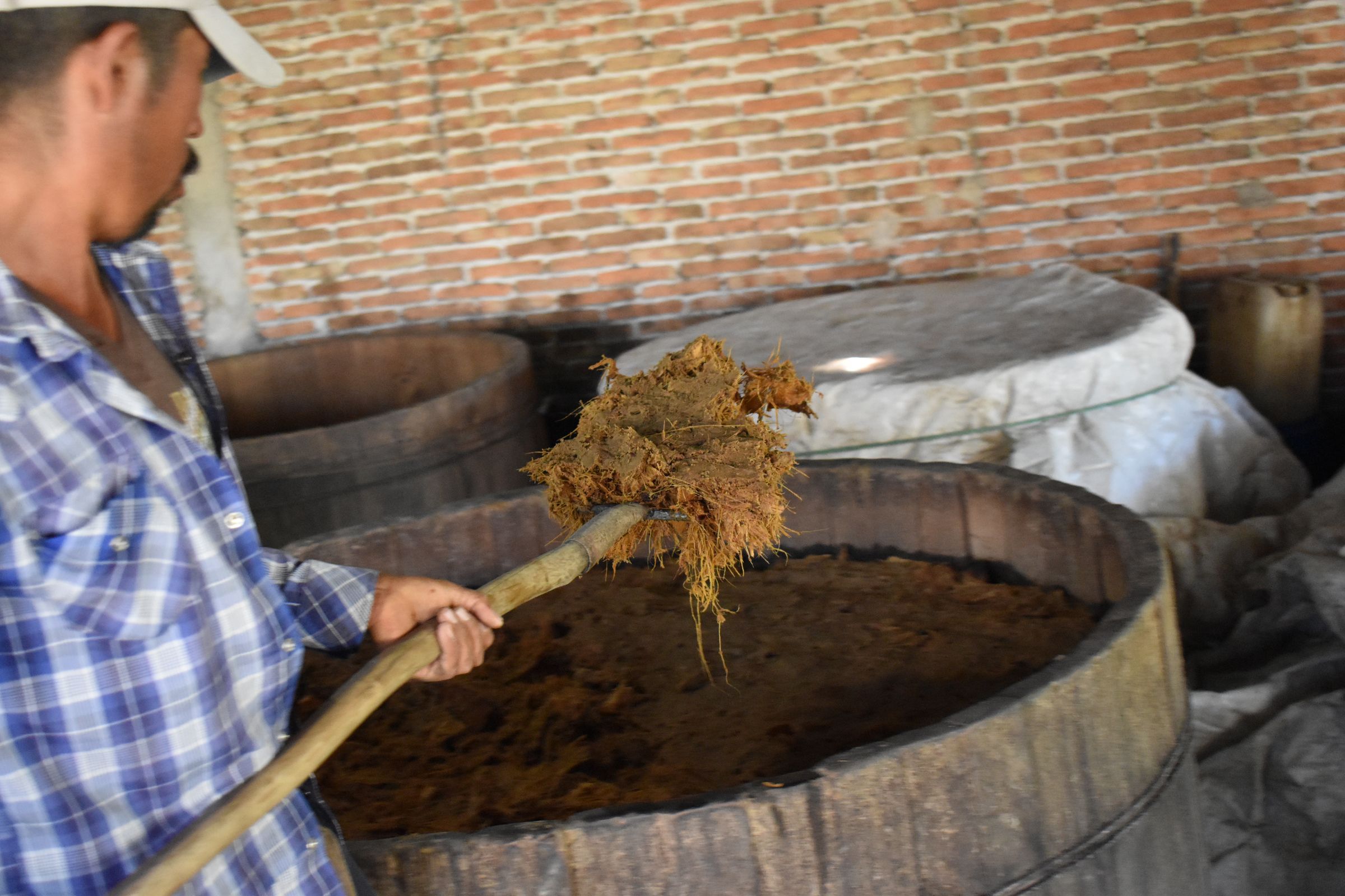 An Introduction to Mezcal | Vera Mexicana