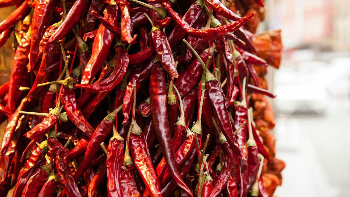 About the Ancho Chili | Vera Mexicana