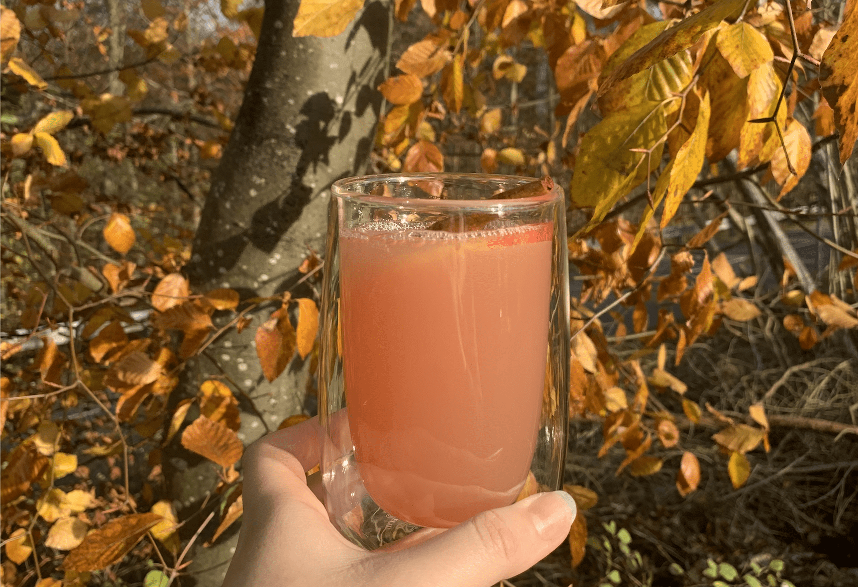 Apple Cider With Mexican Vanilla Vera Mexicana apple-cider-with-mexican-vanilla-vera-mexicana