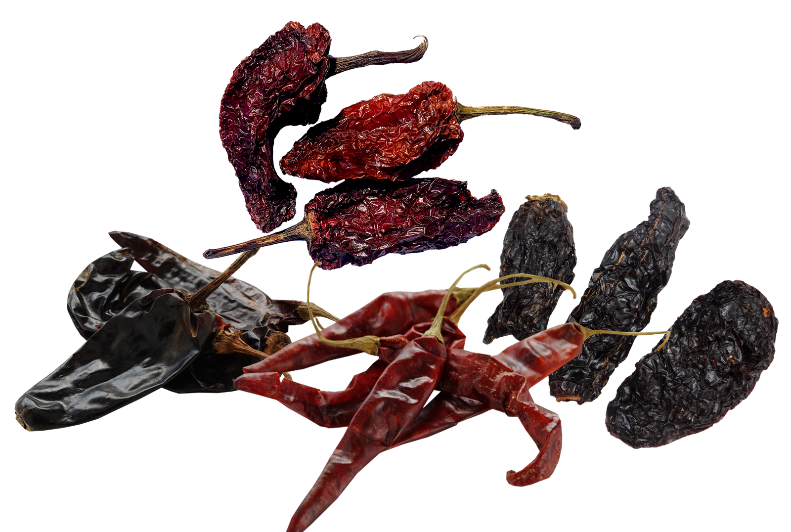 About the Pasilla Mixe Chili | Vera Mexicana