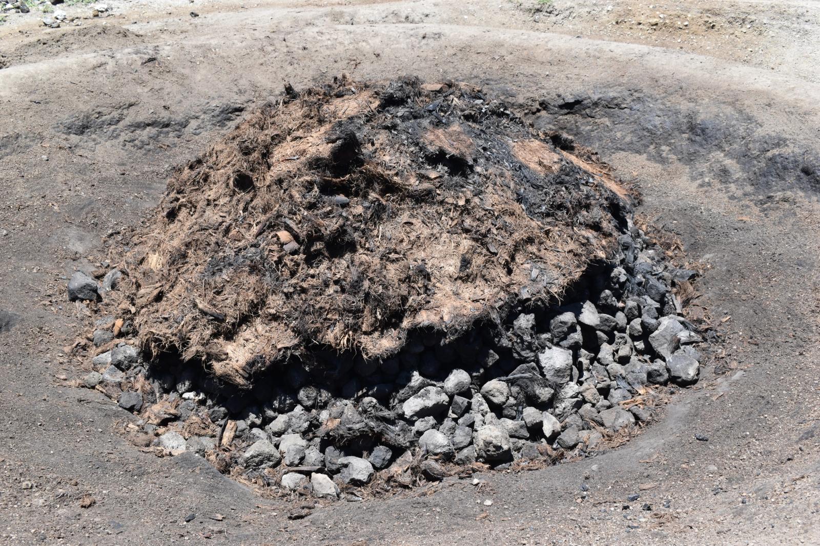 An Introduction to Mezcal | Vera Mexicana