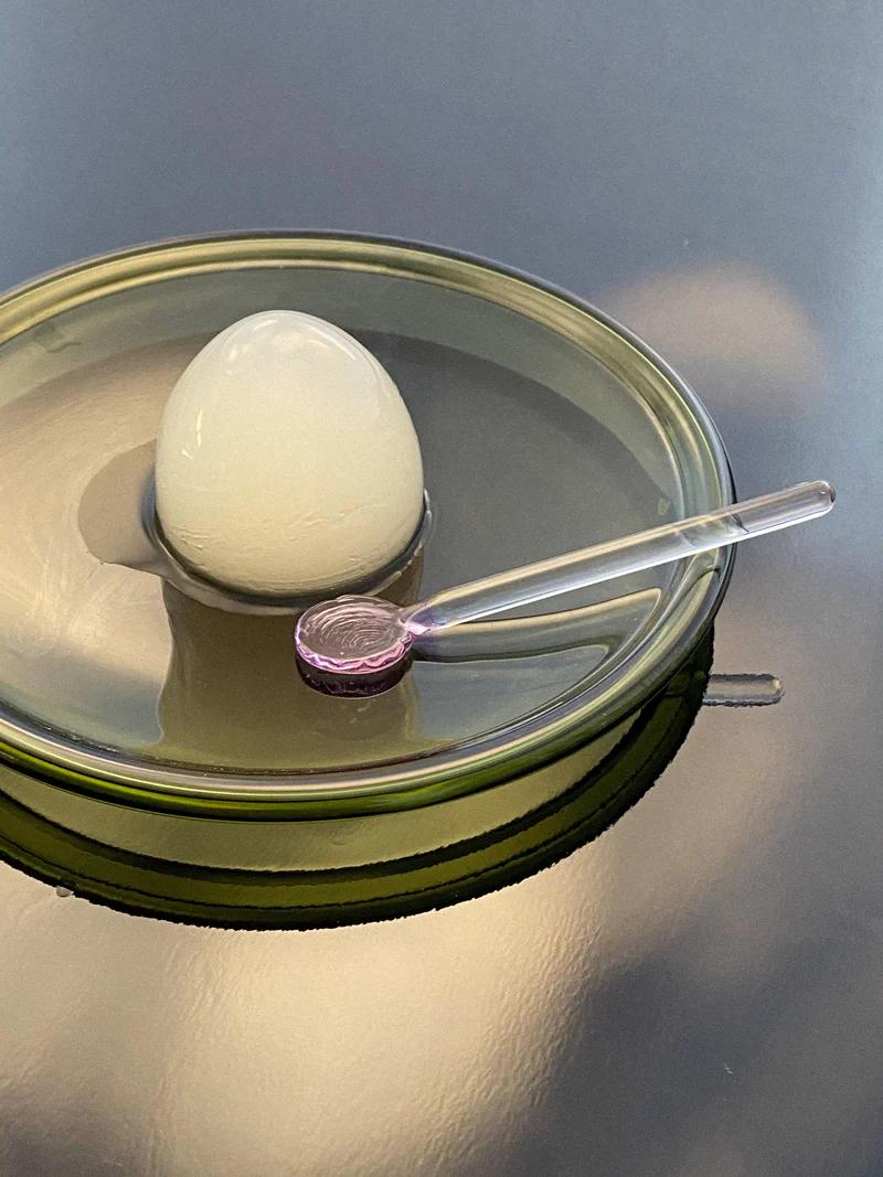 Aplós Jelly - Aplós