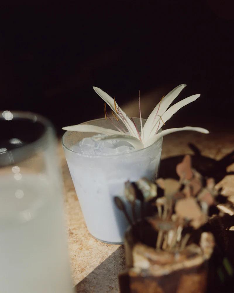 Taro & Tahitian Gardenia: Coconut Milk Cocktail Recipe - Aplós