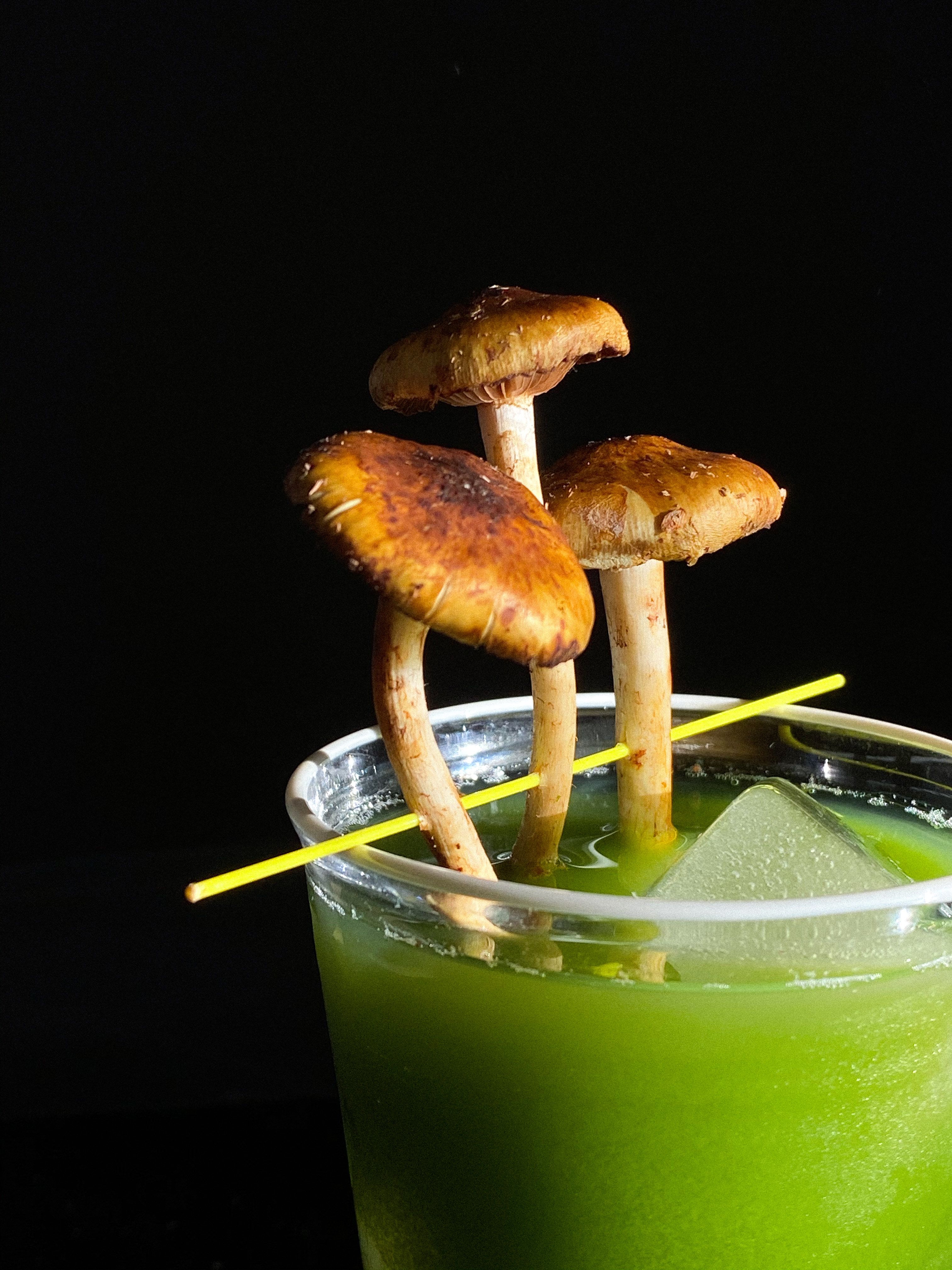 The Green Mary: Cucumber & Kale Cocktail Recipe - Aplós