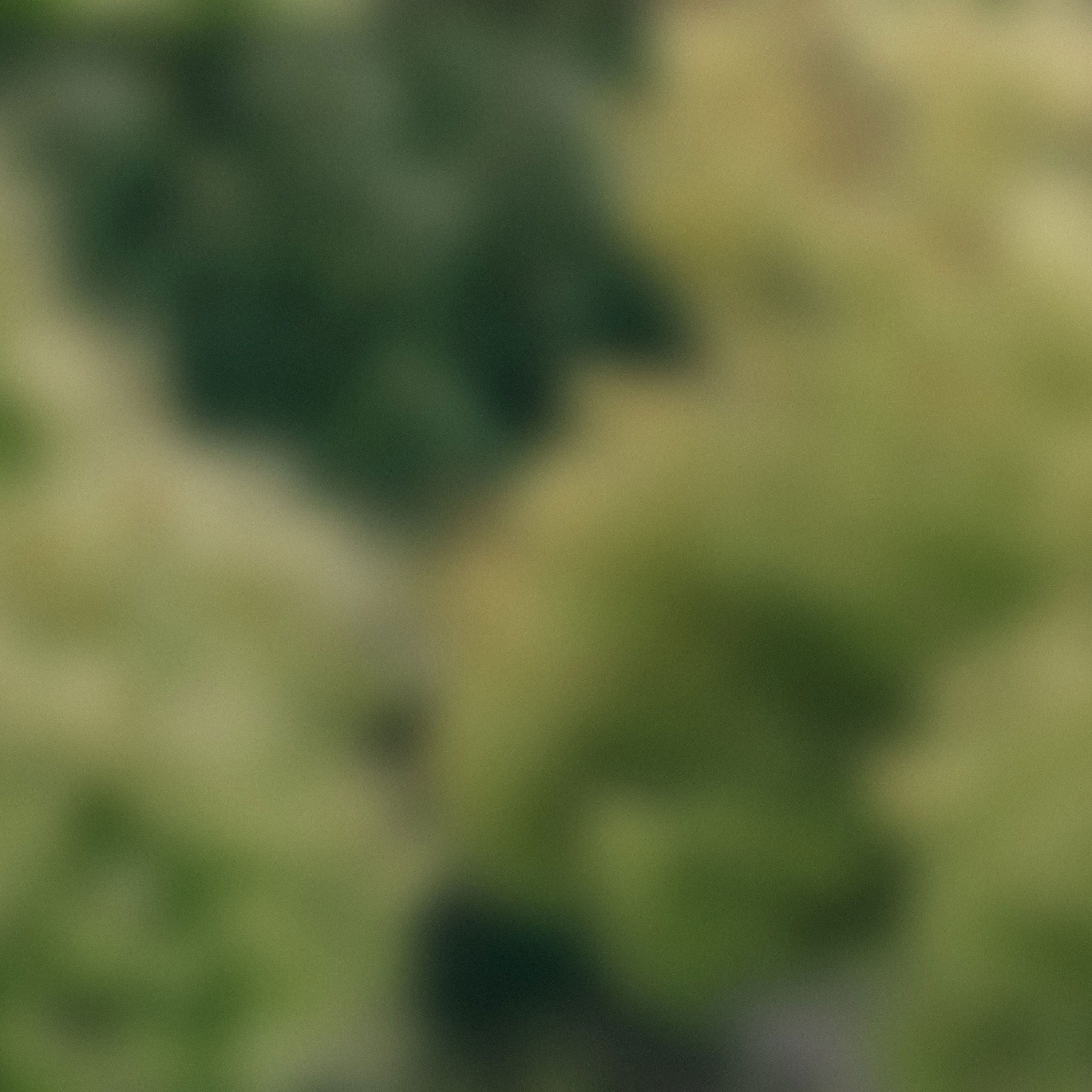 A3