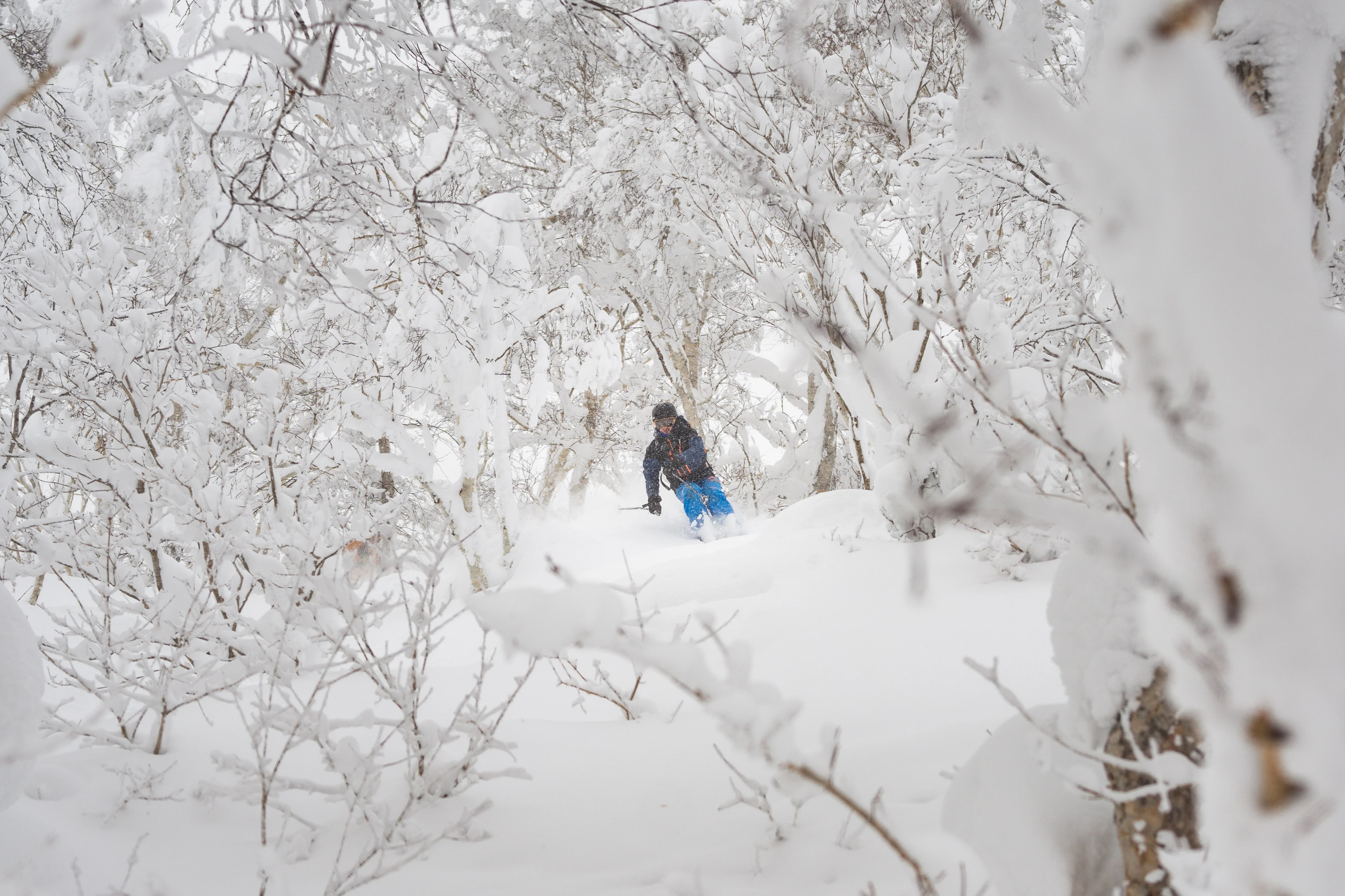 Best Time to Ski in Japan: Snow Season by Month