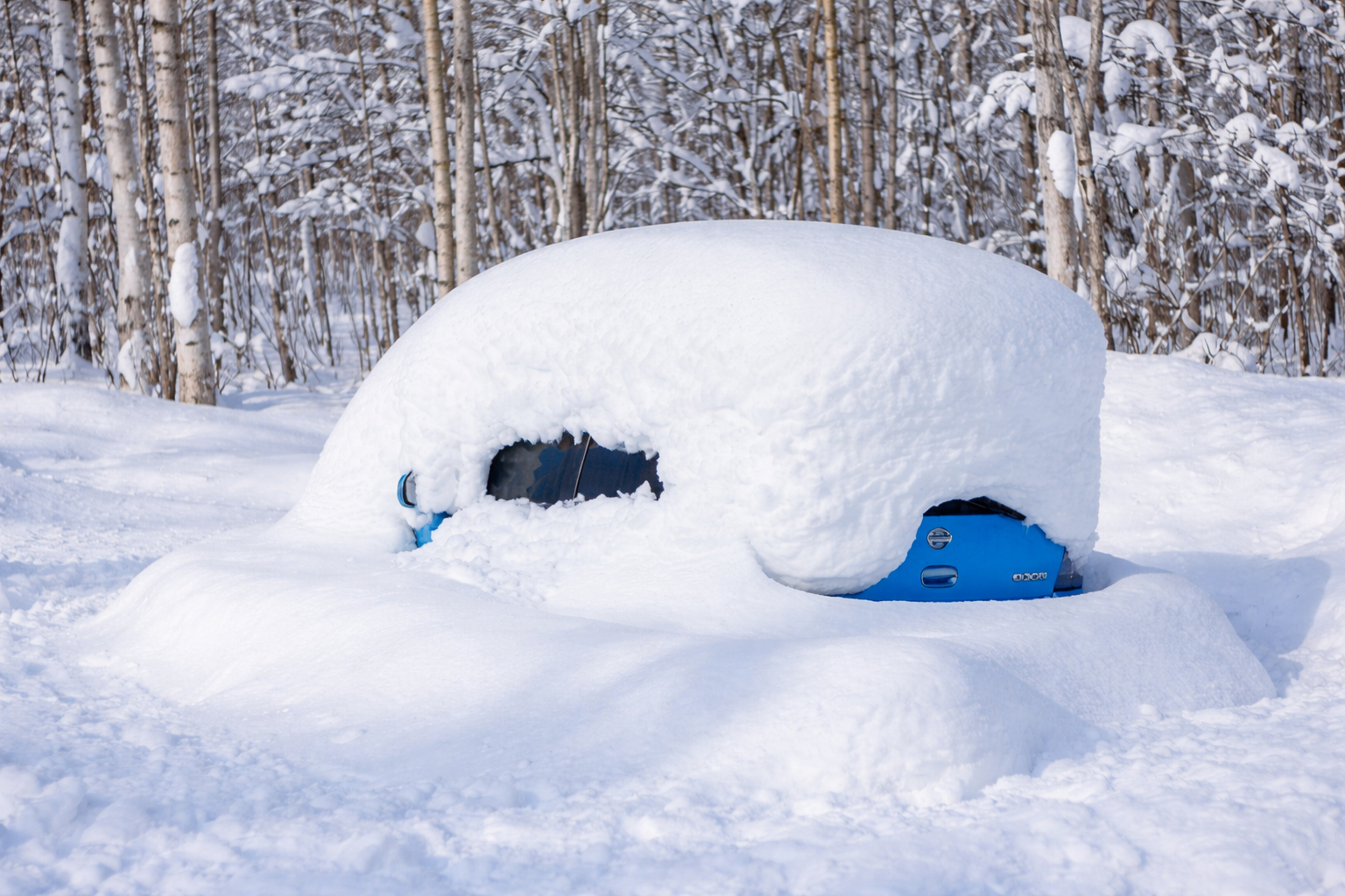 Nagano Alps Core Loop: Hakuba, Nozawa, Shiga Kogen Road Trip (7 Days)