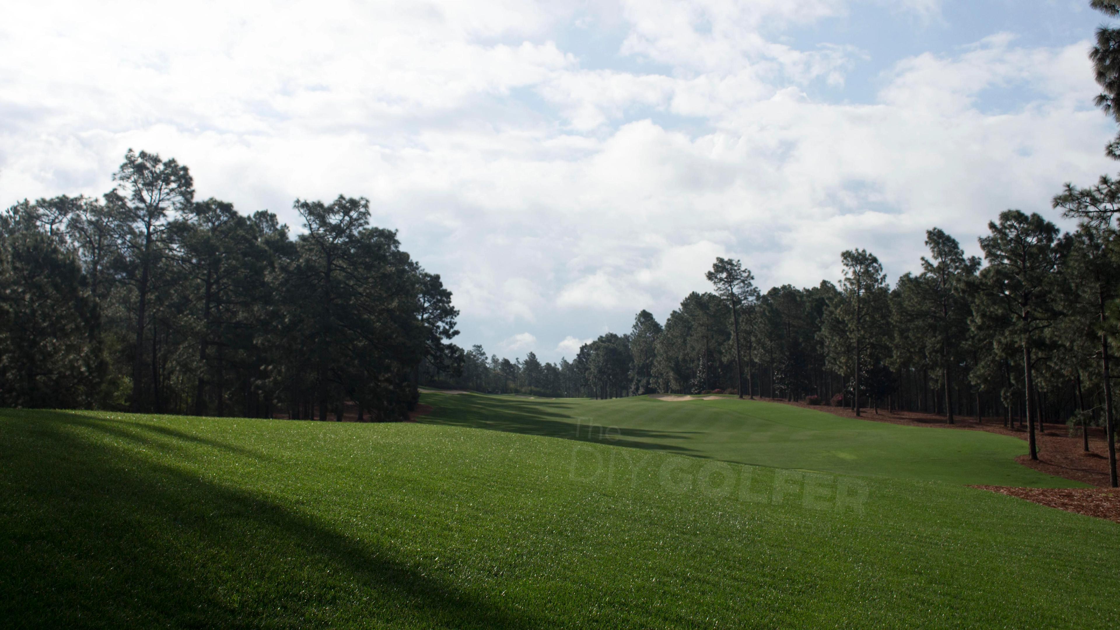 Golf Terms: Free Drop