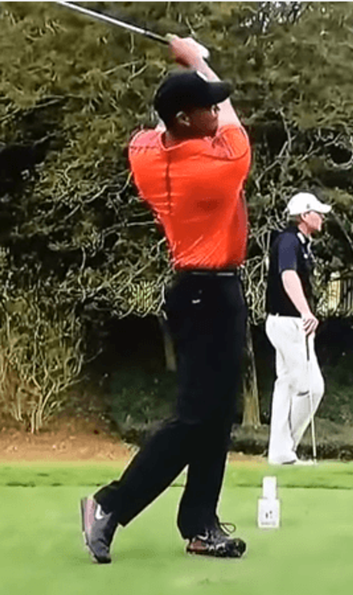 The "Flying Wedges" and Wrist Movement Glossary